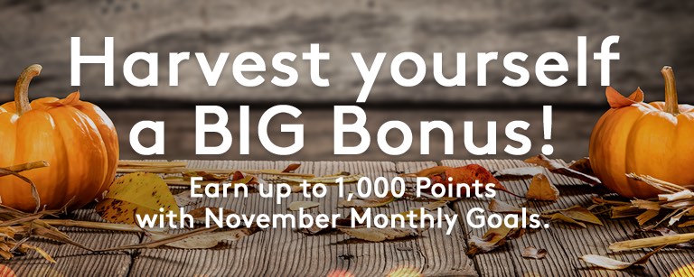 Tuesday Tips: How to earn up to 1,500 Bonus Points with November ...